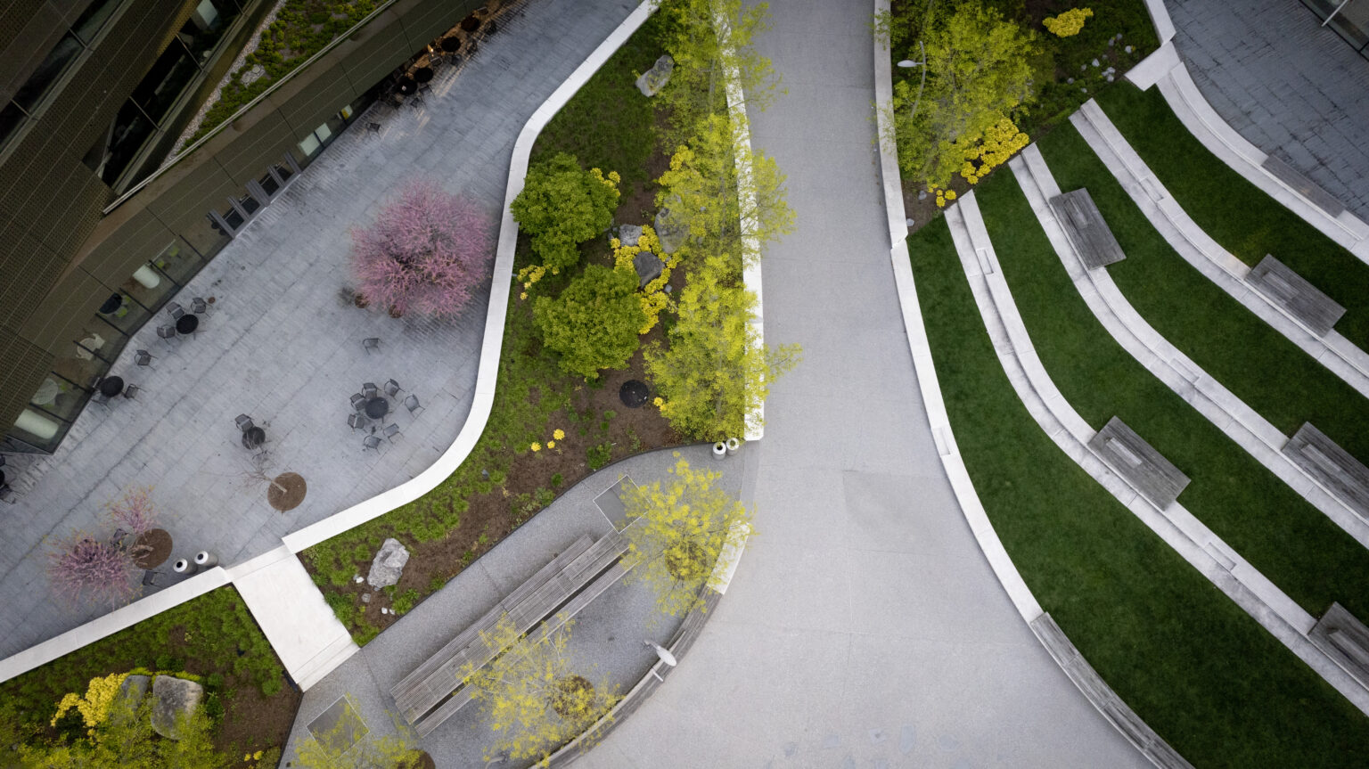 Cornell Tech Announces The Bridge at Cornell Tech