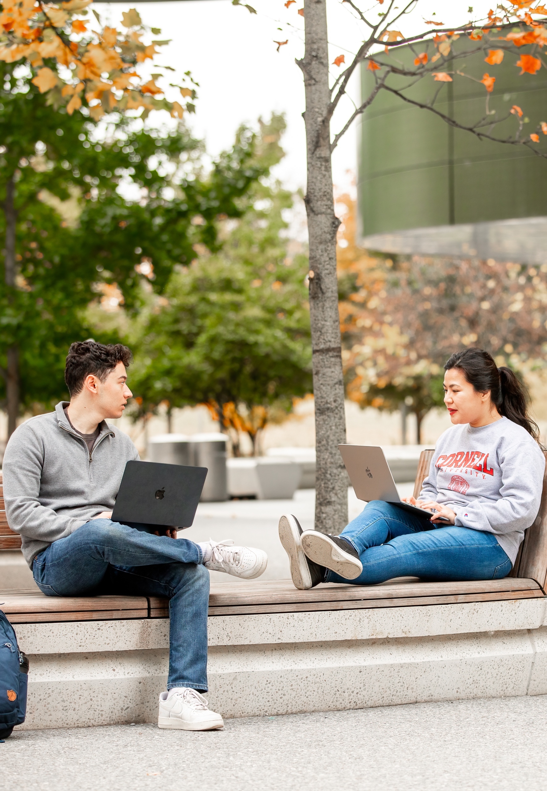 Cornell Tech Announces The Bridge at Cornell Tech