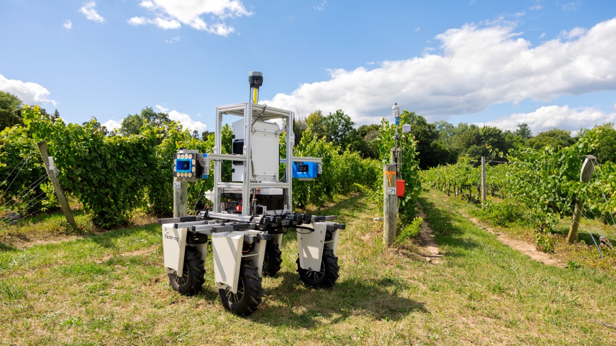 Robot Matches Humans in Scouting for Vineyard Diseases